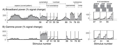 Stimulus Selectivity For Broadband And Gamma Across 15 Electrodes In Download Scientific