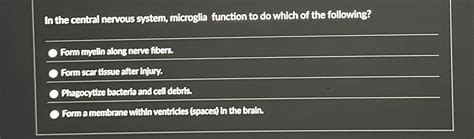 Solved In The Central Nervous System Microglia Function To