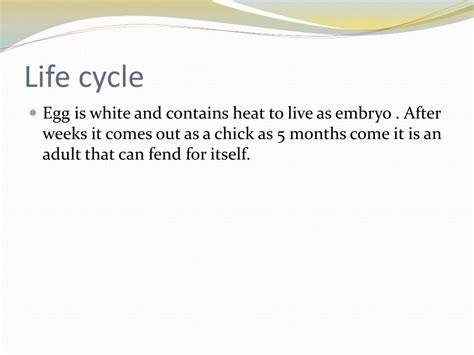 Ppt Harpy Eagle And Life Cycle Powerpoint Presentation Free Download