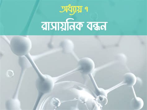 Class 9 Archives Focus Tutor