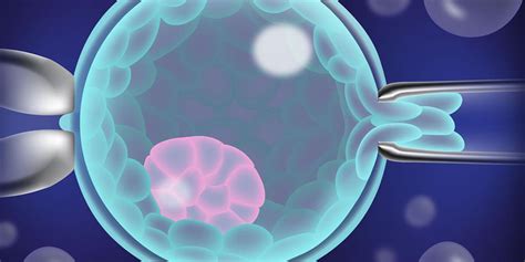 Preimplantation Genetic Testing Lifesure Fertility And Gynaecology Centre