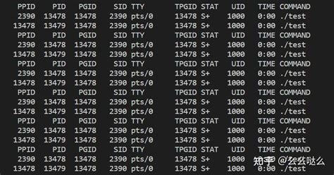 Linux Waitpid函数 知乎 Linux Waitpid函数 知乎