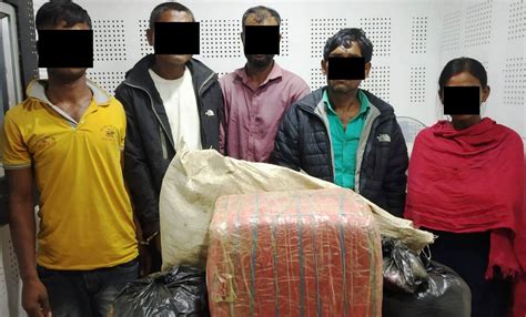 घुसुकपुर टोलबाट अवैध २० किलो गाँजासहित पाँच जना पक्राउ Nepal Ghatana