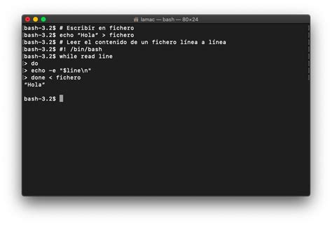 Entrada Y Salida Almacenar Y Leer Un Fichero En Bash Operating