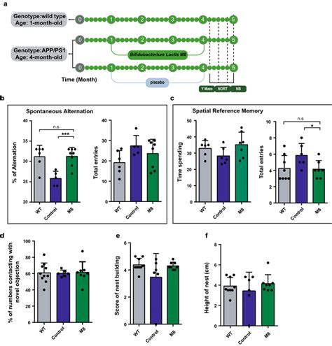 Behaviour Test Of Y Maze Novel Object Recognition And Nest Building A Download Scientific