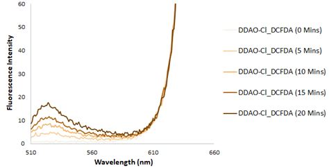 13 Ros Assay On Dcfda As A Control A Minimal Increase In Dcfda Download Scientific Diagram