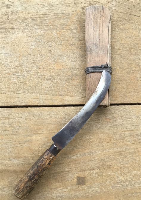 Learning To Live Peace Tapping Kithul Palm