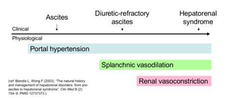 Hepatorenal Syndrome — Classification And Treatment Medical Library