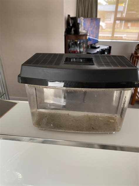 Triassic Triops Deluxe Triops Kit Contains Eggs Aquarium Food Instructions And Helpful
