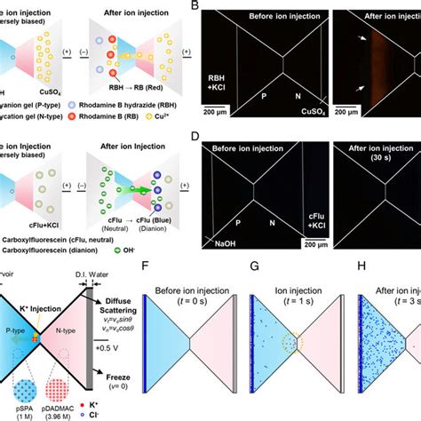 Breakdown Of The Ionic Diode By Ion Injection Schematic Depiction And