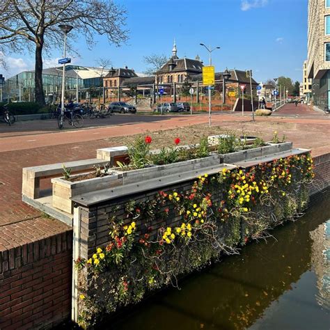 Melissa Monroy Posted On Linkedin