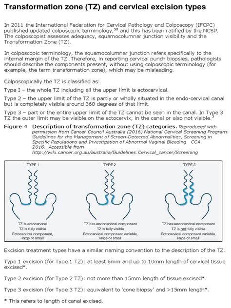 Transformation Zone Tz And Cervical Excision Types Pdf