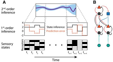 Perceptual Dynamics Under Hierarchical Active Inference A In This Download Scientific Diagram