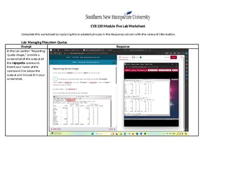 cyb 230 module five lab worksheet link cyb 230 module five lab