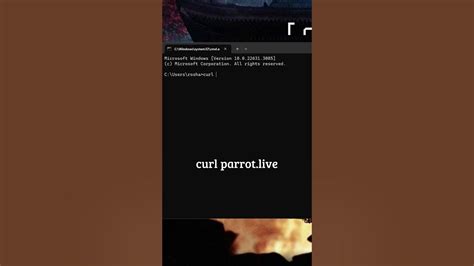 Pc Tips Part 20 Cmd Trick Pc Pctips Cmd Viral Youtube