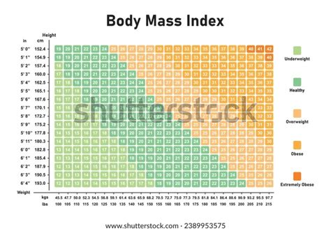 Body Mass Index Bmi Concept Design Stock Vector Royalty Free Shutterstock