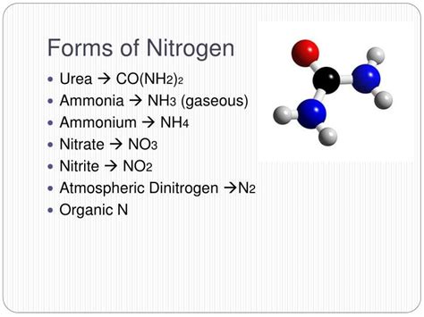 Ppt Soil Microbiology Powerpoint Presentation Id966927