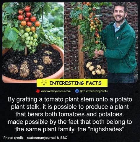 Dr M Zaheer Ahmed Posted On Linkedin