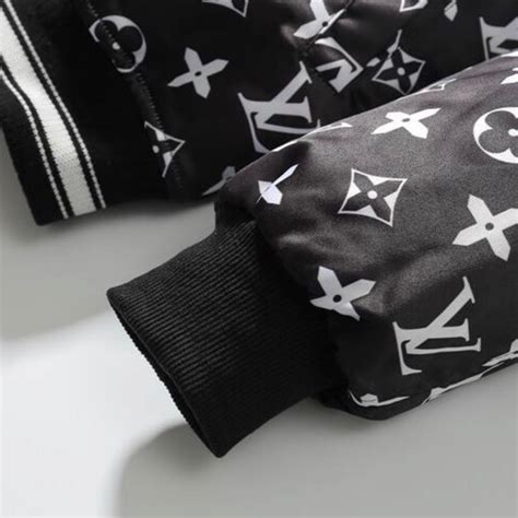 Louis Vuitton Winter Jacket A2 Jackets