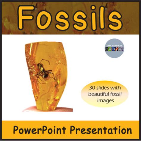 Fossils And Types Of Fossils PowerPoint Made By Teachers