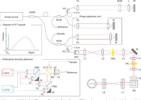 Figure 1 From Multi Scale And Contrast Sensorless Adaptive Optics Optical Coherence Tomography