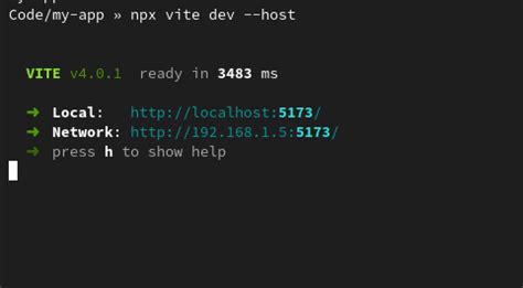 Npm Run Dev Host Doesn T Host App On Network Issue 8119