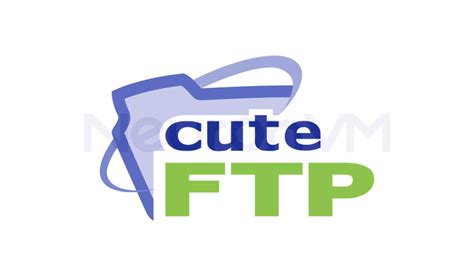 How To Increase Font Size In Cuteftp Easily Neuronvm