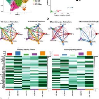 T Cells In The Peripheral Blood Of AD Patients Are Mainly T Cells With Download Scientific