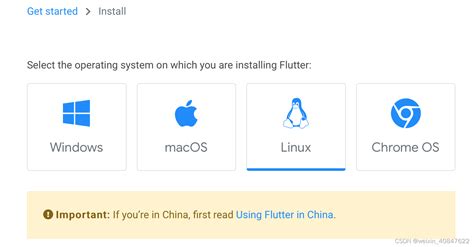 Ios开发 超详细flutter开发环境搭建