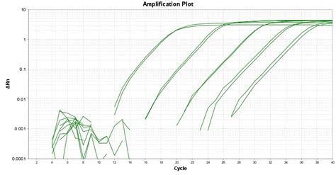 Pcr Amplification Graph