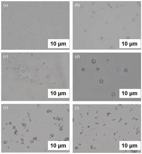 Heterogeneous Nucleation In Protein Crystallization