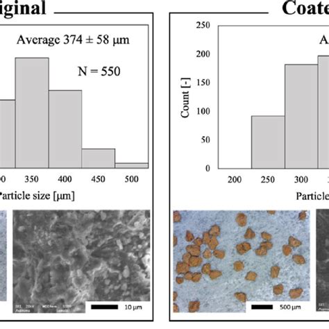Particle Size Distributions Upper Sem Images And Optical Microscopy Download Scientific