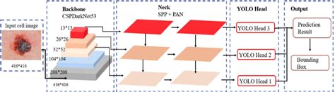 Figure 2 From Skin Cancer Recognition Using Unified Deep Convolutional Neural Networks