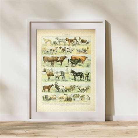 Mammal Classification Jigsaw Puzzle 3005001000 Piece Vintage