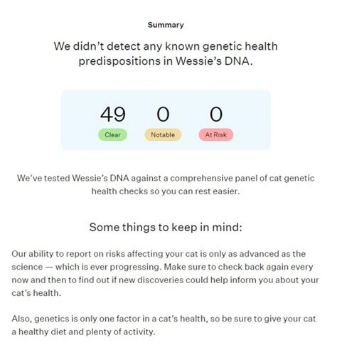 The 5 Best Cat Dna Tests We Tried Them All
