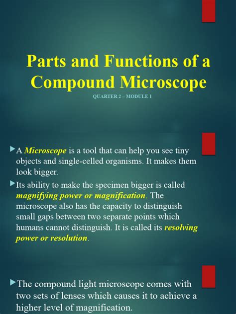 Parts And Functions Of A Compound Microscope Pdf Optics Electrodynamics