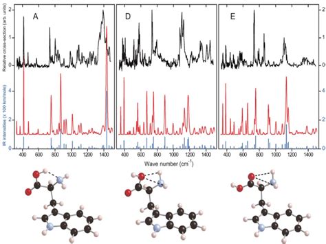 3 Infrared Absorption Spectra Of Three Tryptophan Conformers The