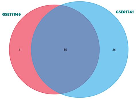 Venn Diagram Showing Dems Between The Datasets Gse17846 And Gse61741