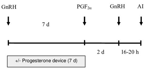 Standard Ovsynch No Progesterone Device Inserted Or Modified Ovsynch Download Scientific