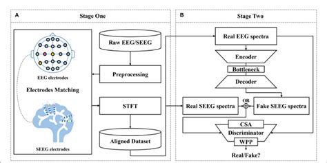 Figure Proposed Framework For Eeg To Seeg Translation A Raw Eeg And