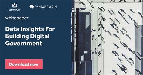 Whitepaper Data Insights For Building Digital Government