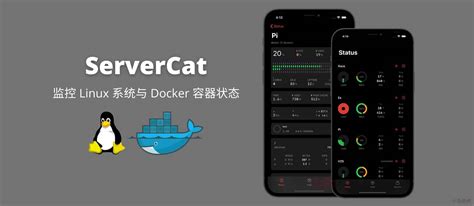 Servercat 监控 Linux 系统状态与 Docker 容器状态，还可作为 Ssh 终端使用[ipad Iphone] Linuxword Global