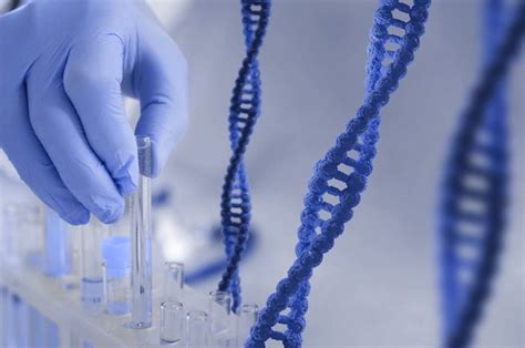 Terjamin Cara Mengetahui Gen Kanker Pada Diri Dengan Genomic Test Apa