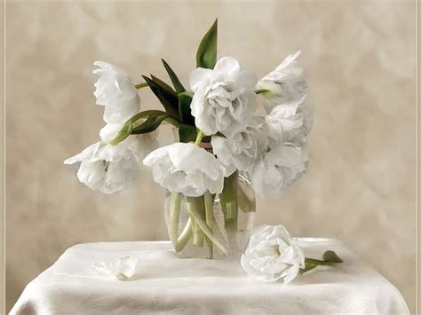 Download Modest And Elegant Flower Arrangement Wallpaper