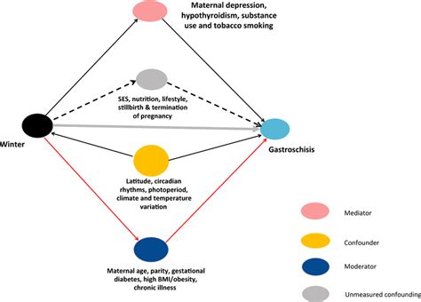 Directed Acyclic Graph The Directed Acyclic Graph DAG Download Scientific Diagram