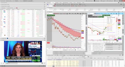 Create Your Custom Indicator Scan Or Watchlist In Thinkorswim By Asndy Fiverr