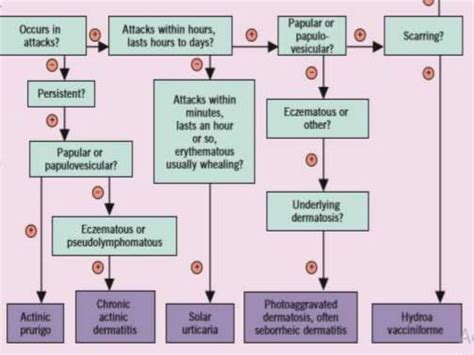 Approach To Photodermatoses Pptx