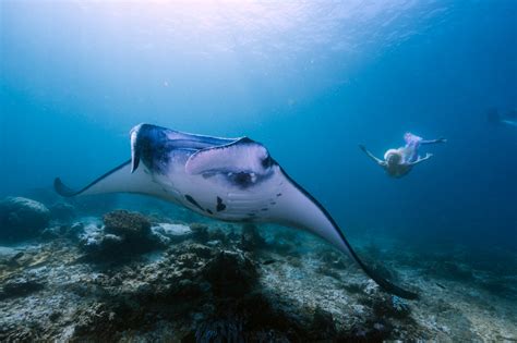 Aquatech Aquatech Added A New Photo — At Aquatech Water Aquatech Aquatech Added A New Photo — At Aquatech Water