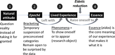 The Phenomenological Research Process Download Scientific Diagram