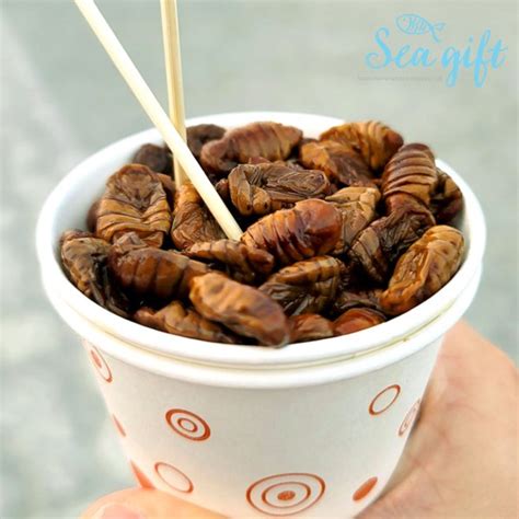 유동번데기탕 만드는 법 집에서 소주안주 번데기 요리 화순사랑